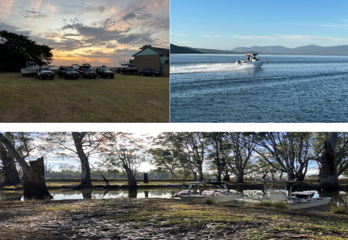 Boronia Sport Fishing Club News and Syllabus